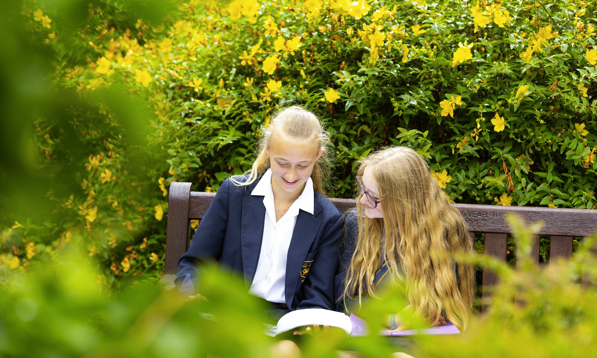 Welcome to The Chase